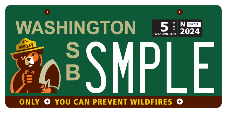 Want a new WA license plate? Drivers can choose from pickleball, bees ...