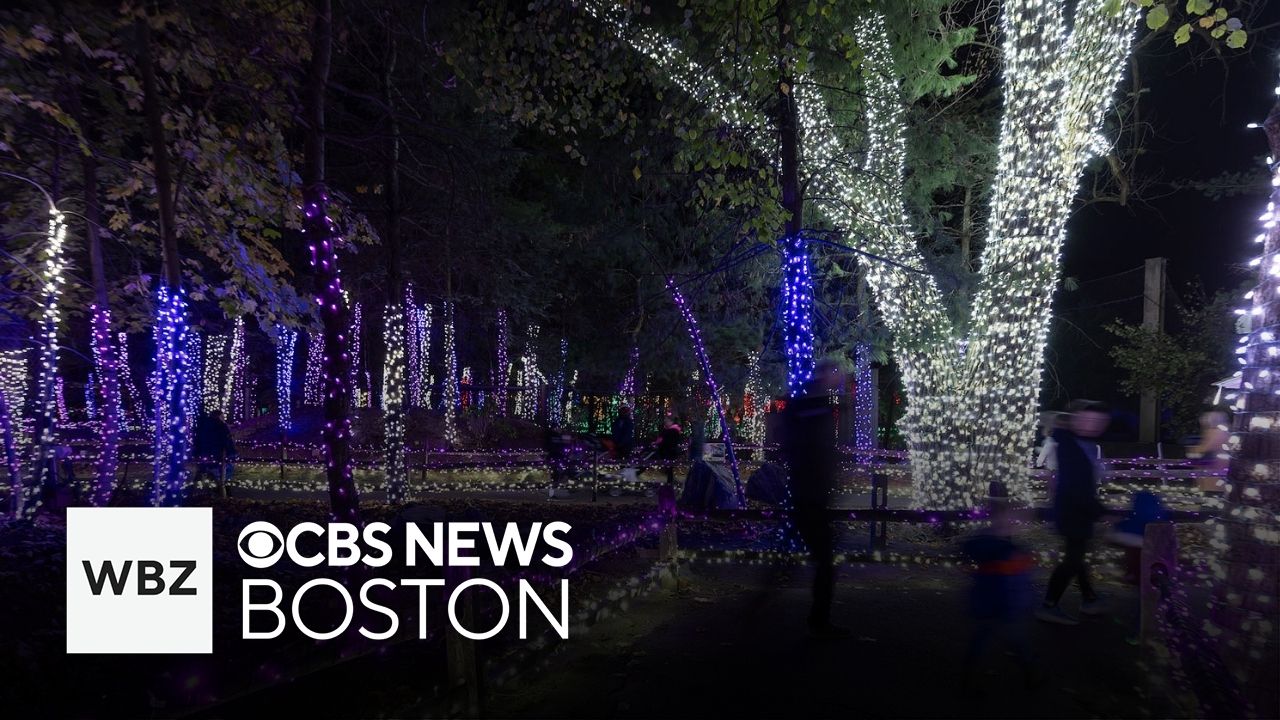 Weekend To Do List: Zoolights, winter market and children's book festival