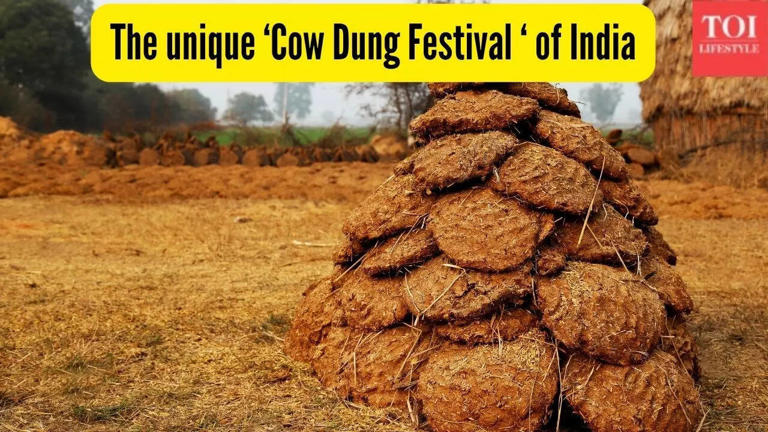 This village in South India celebrates a unique ‘cow poop festival ...