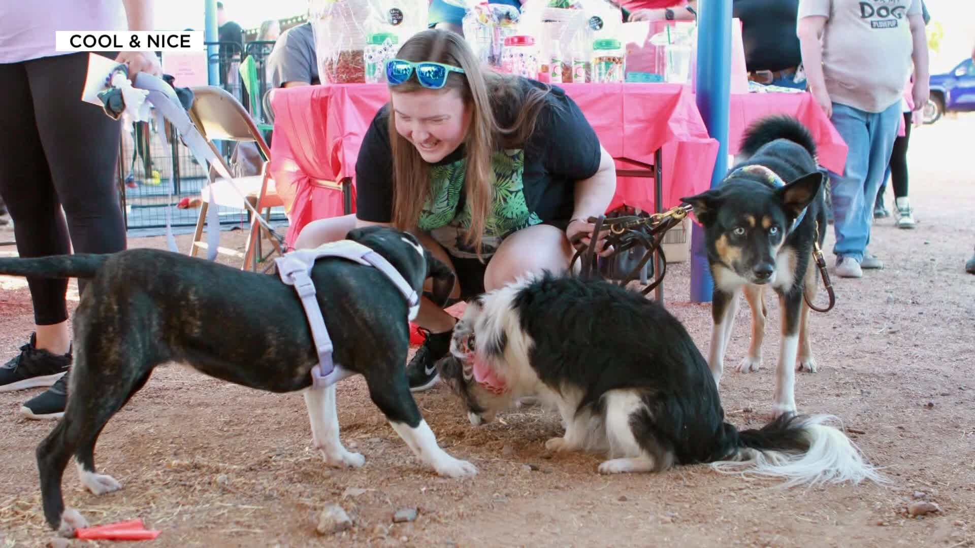 LovePup Family Fest returns with band performances, pet adoptions in Mesa