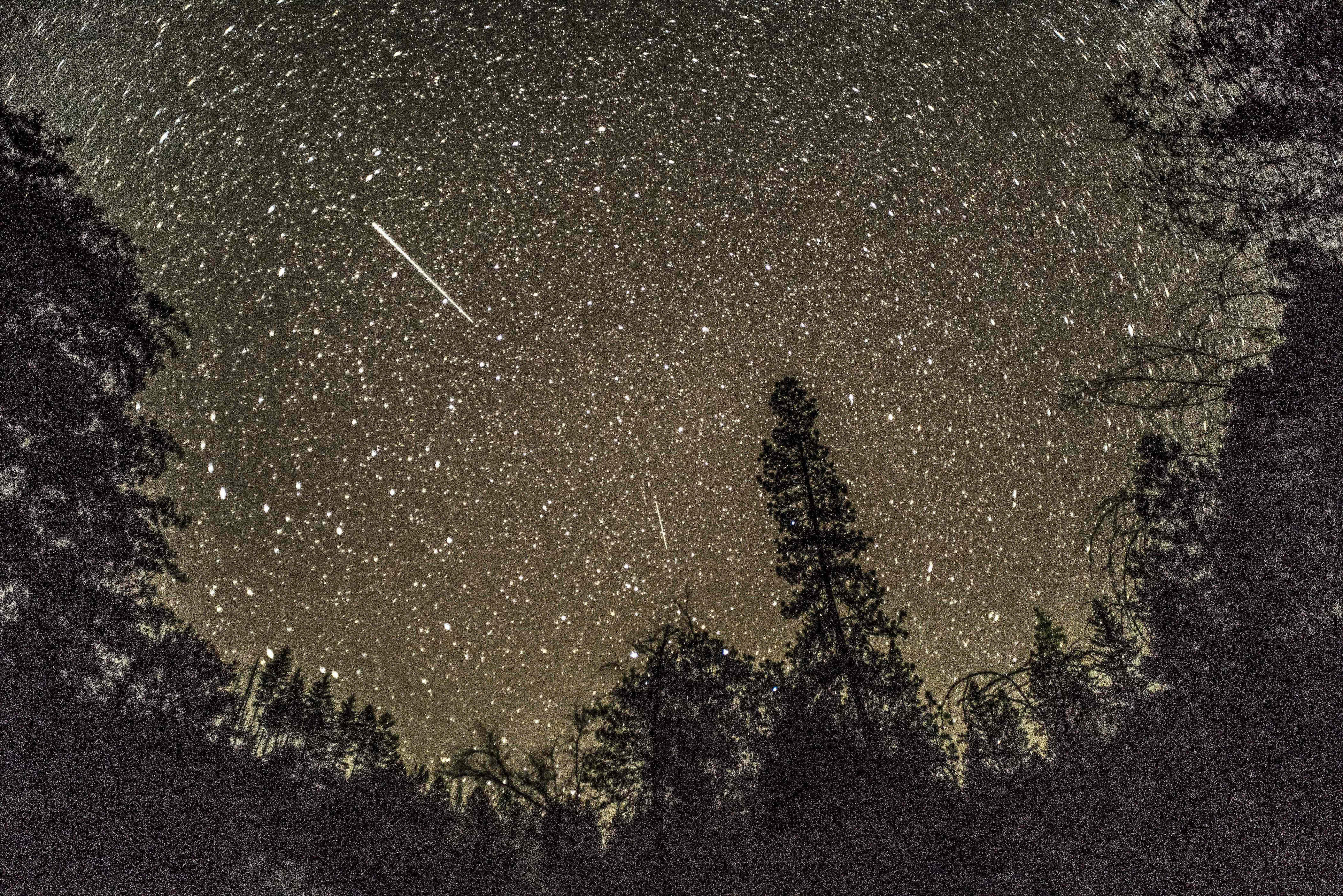 The Dazzling Leonid Meteor Shower Peaks This Weekend—Here’s Your ...