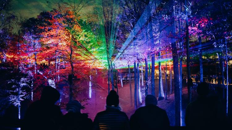 Zoo Knoxville launches new music and light show 'Smoky Night Lights'