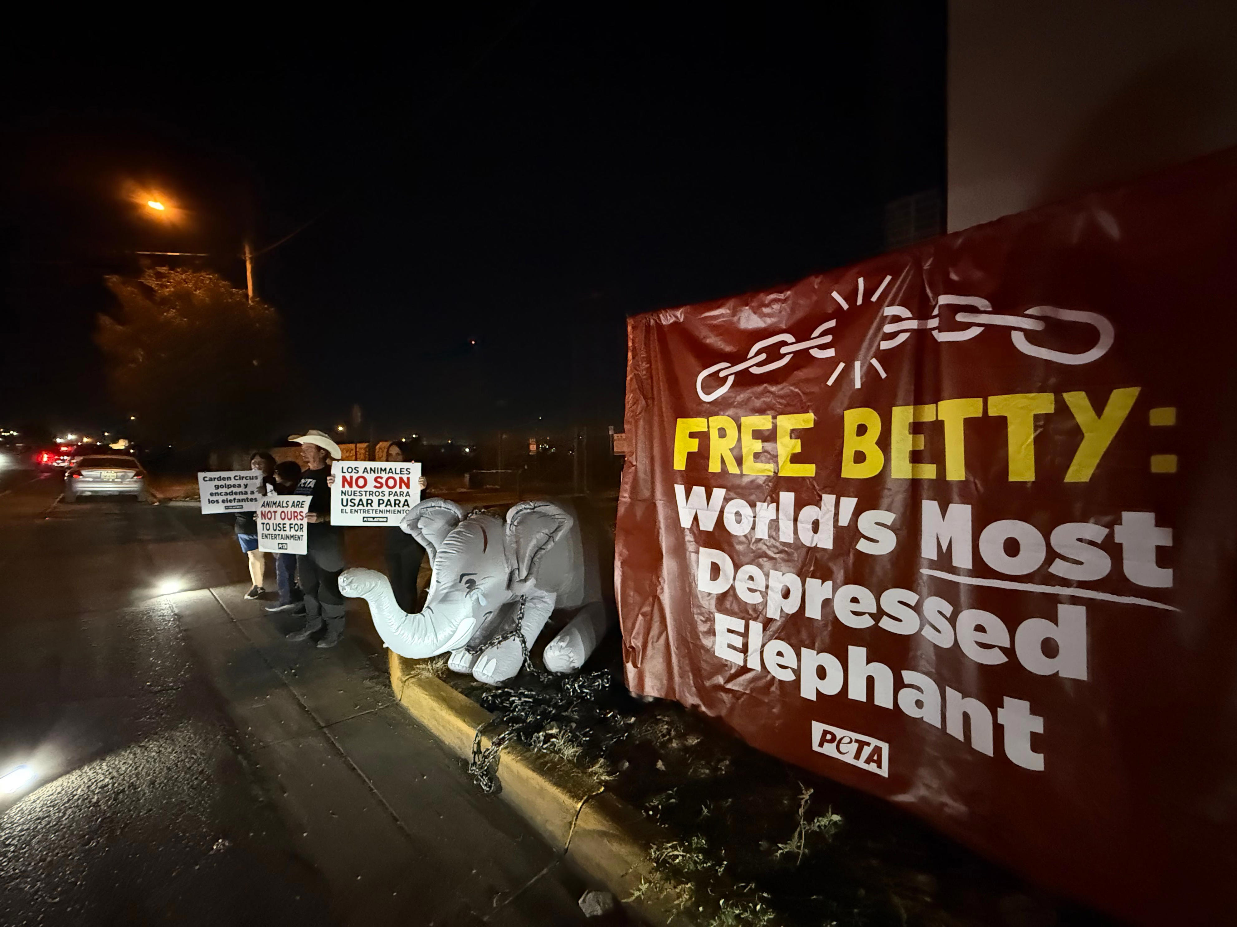 PETA protests 'depressed elephant' in circus performing at El Paso ...