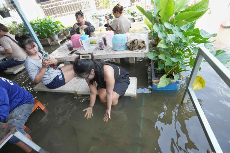 Flooded restaurant in Thailand brings delight with swimming fish among ...