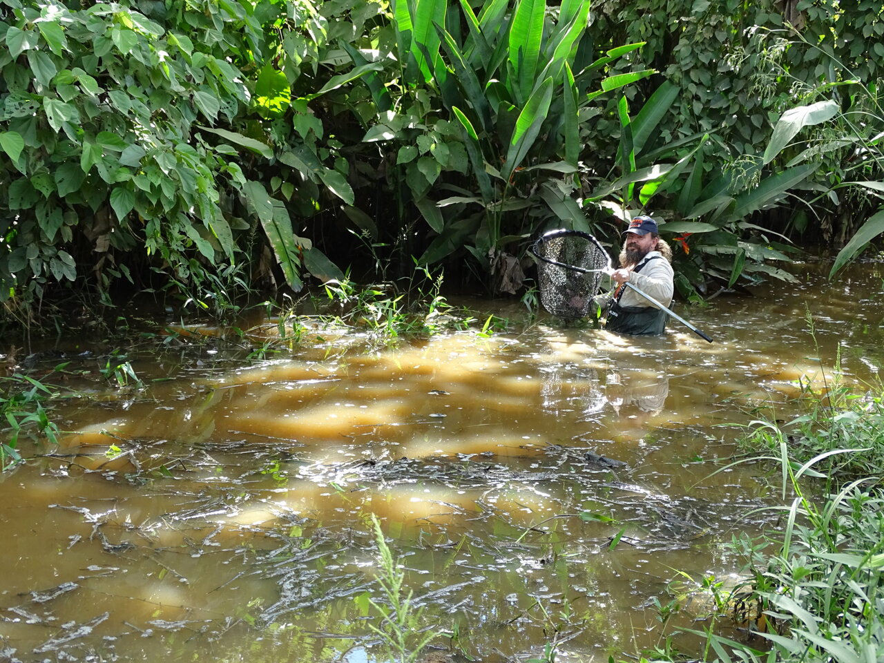 Rediscovery of lost fish species provides a second chance for conservation