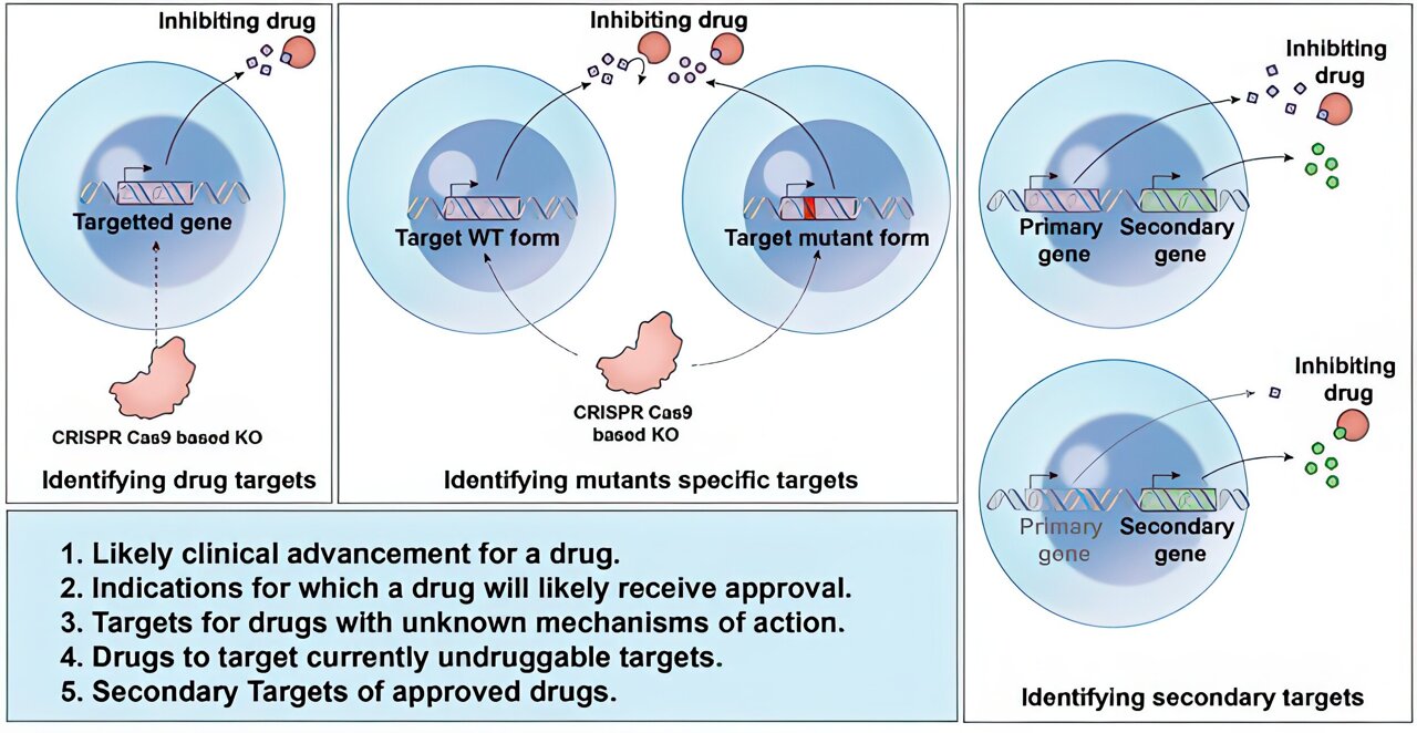 Computational deep dive reveals hidden cancer drug targets and ...