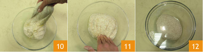 Whole wheat focaccia with sourdough