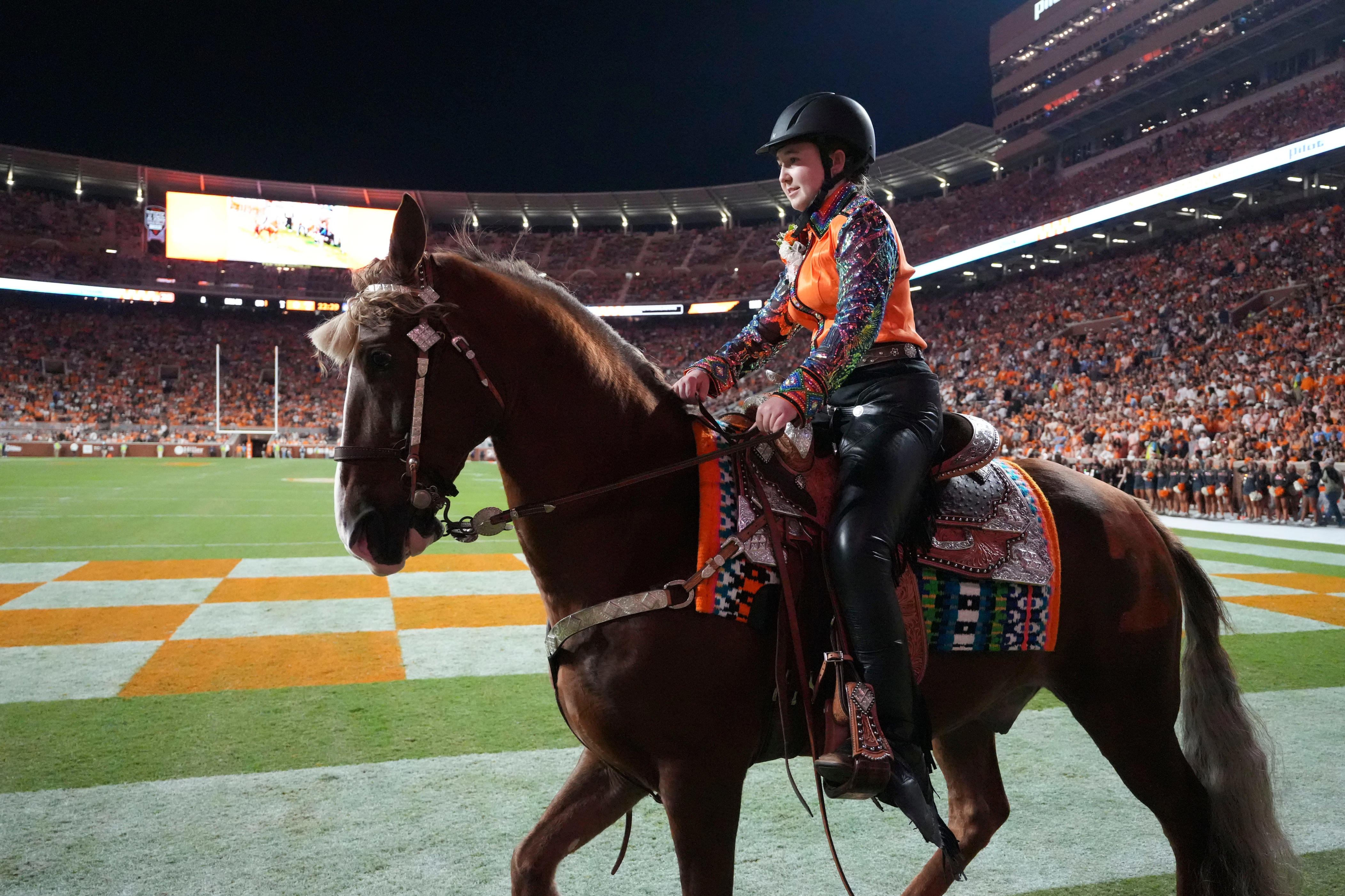 End of an era for Tennessee homecoming as walking horse tradition is ...