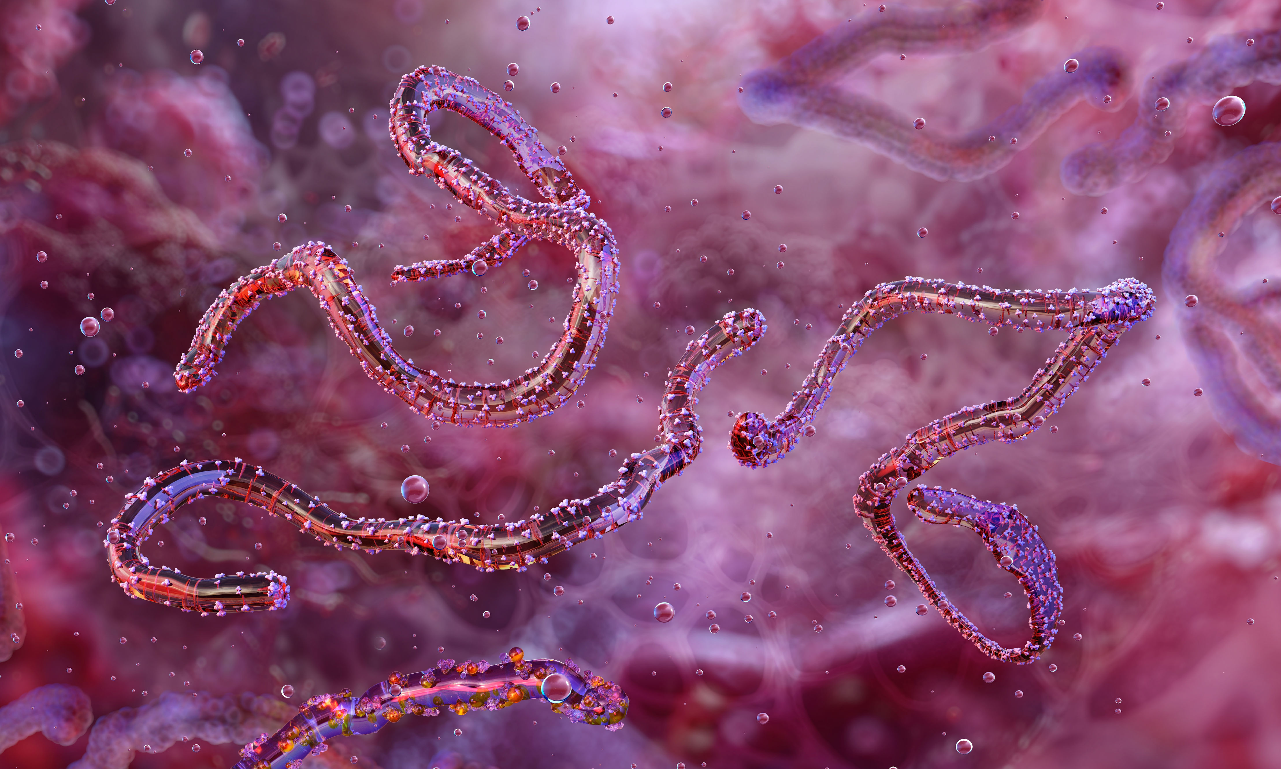 Ethiopia confirms first outbreak of Marburg virus