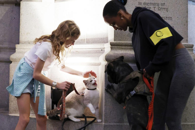 Entertainment, 1990s culture dominate 2025's top pet names