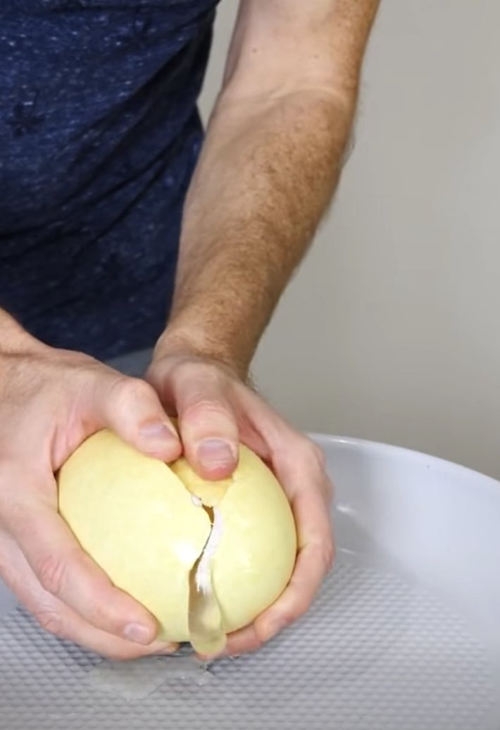 Ostrich egg strength