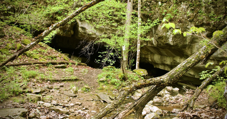 This Is the Most Claustrophobic Hike in Tennessee-Would You Try It?