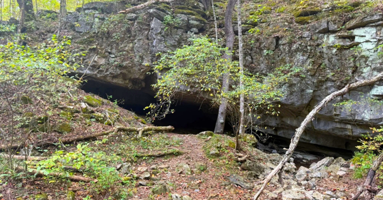 This Is the Most Claustrophobic Hike in Tennessee-Would You Try It?