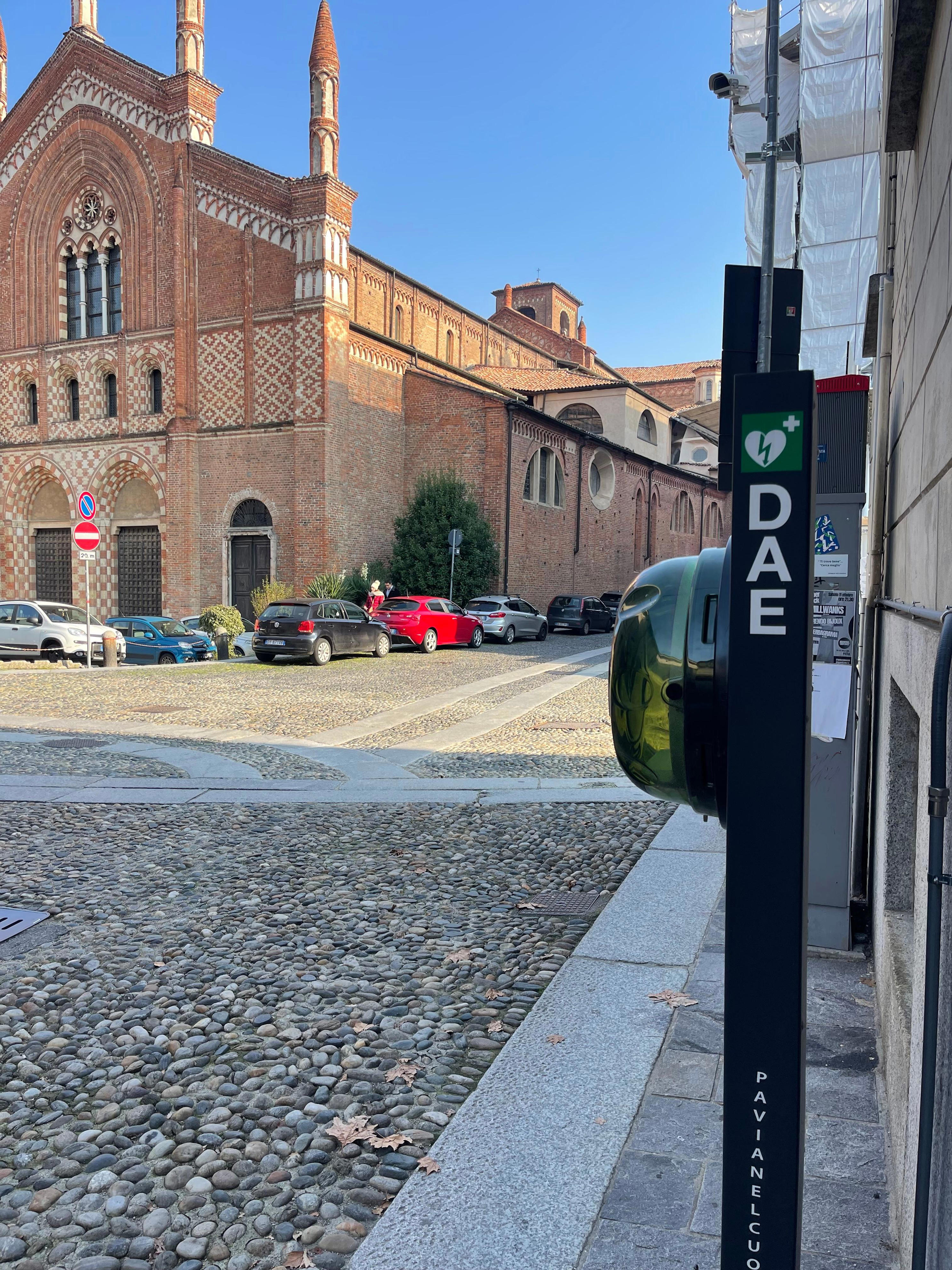 Pavia generosa: in 24 ore raccolti i fondi necessari per ricomprare il ...