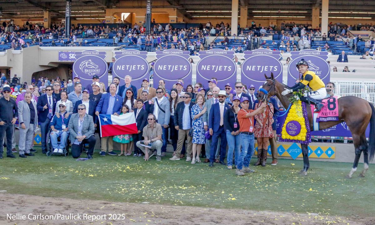 Trainer John Sadler Expecting Big Things Of Breeders’ Cup Winner Super ...