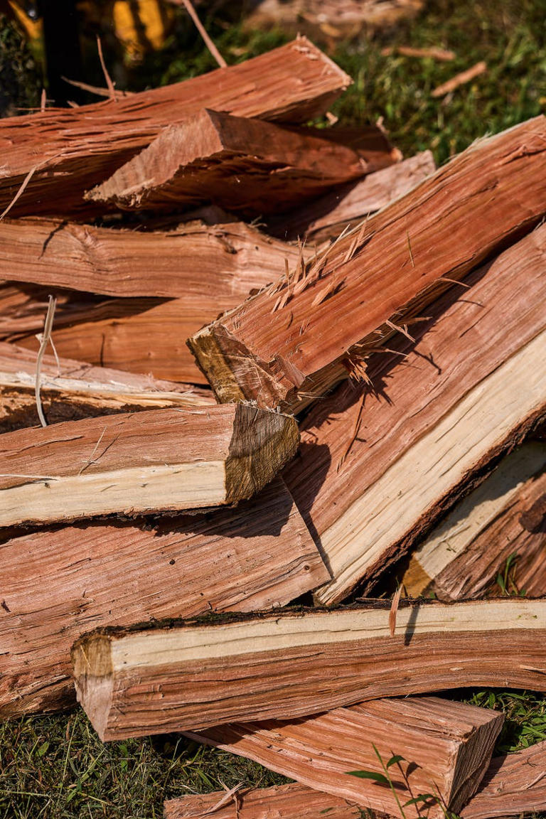 Wood Is Easy to Use for Your Smokeless Fire Pit, but Here’s Why You ...