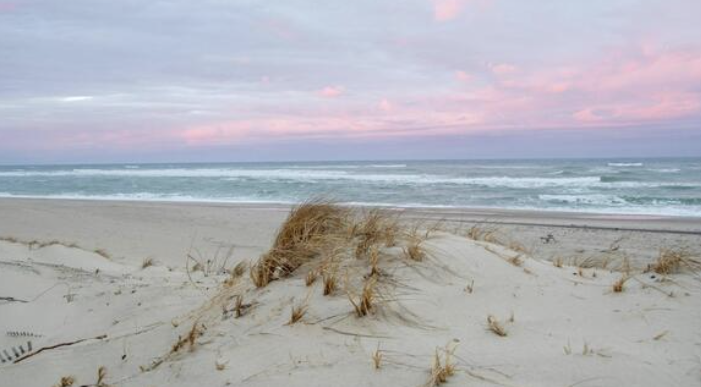 Cape Cod's Sandy Neck Beach Tackles Erosion with Ambitious ...