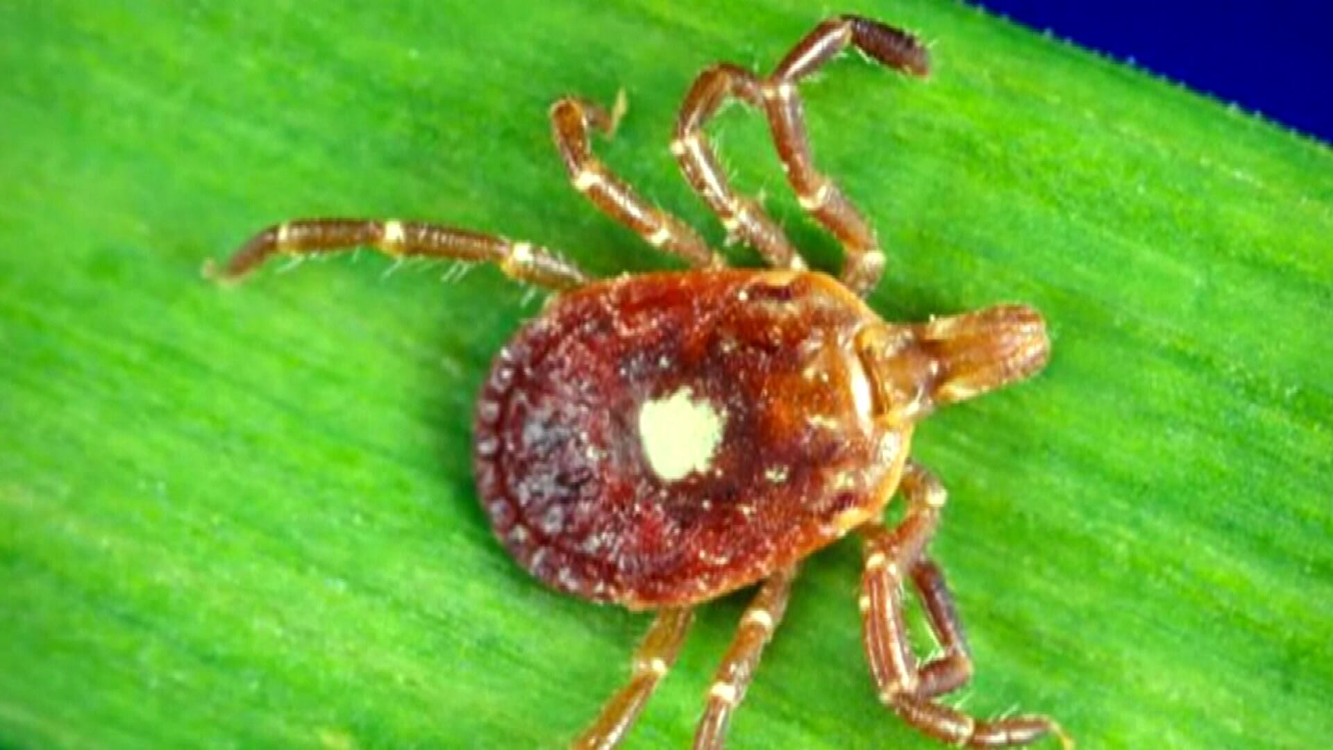 Father’s sudden death leads UVA researchers to chilling discovery about ...