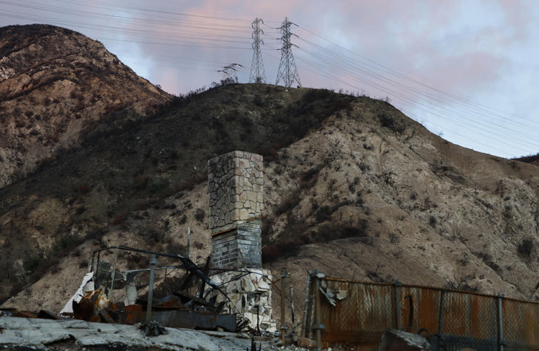 Toppled tree crushes family's pickup in Echo Park neighborhood