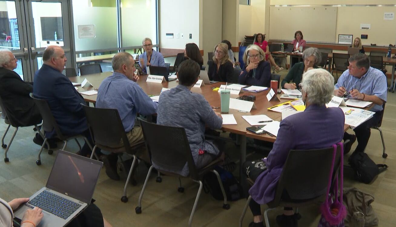 School Redistricting Task Force wraps up work amid recriminations ...