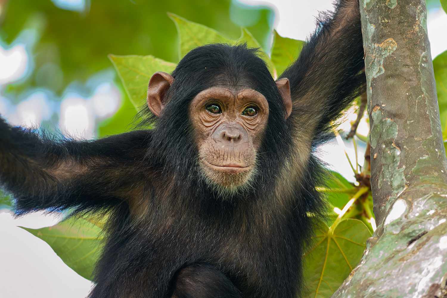 Guests Shelter in Place During Indianapolis Zoo Lockdown After ...