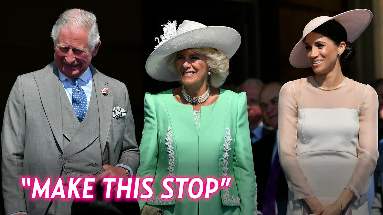 King Charles and Camilla's Thoughts on Meghan Revealed in Resurfaced Book