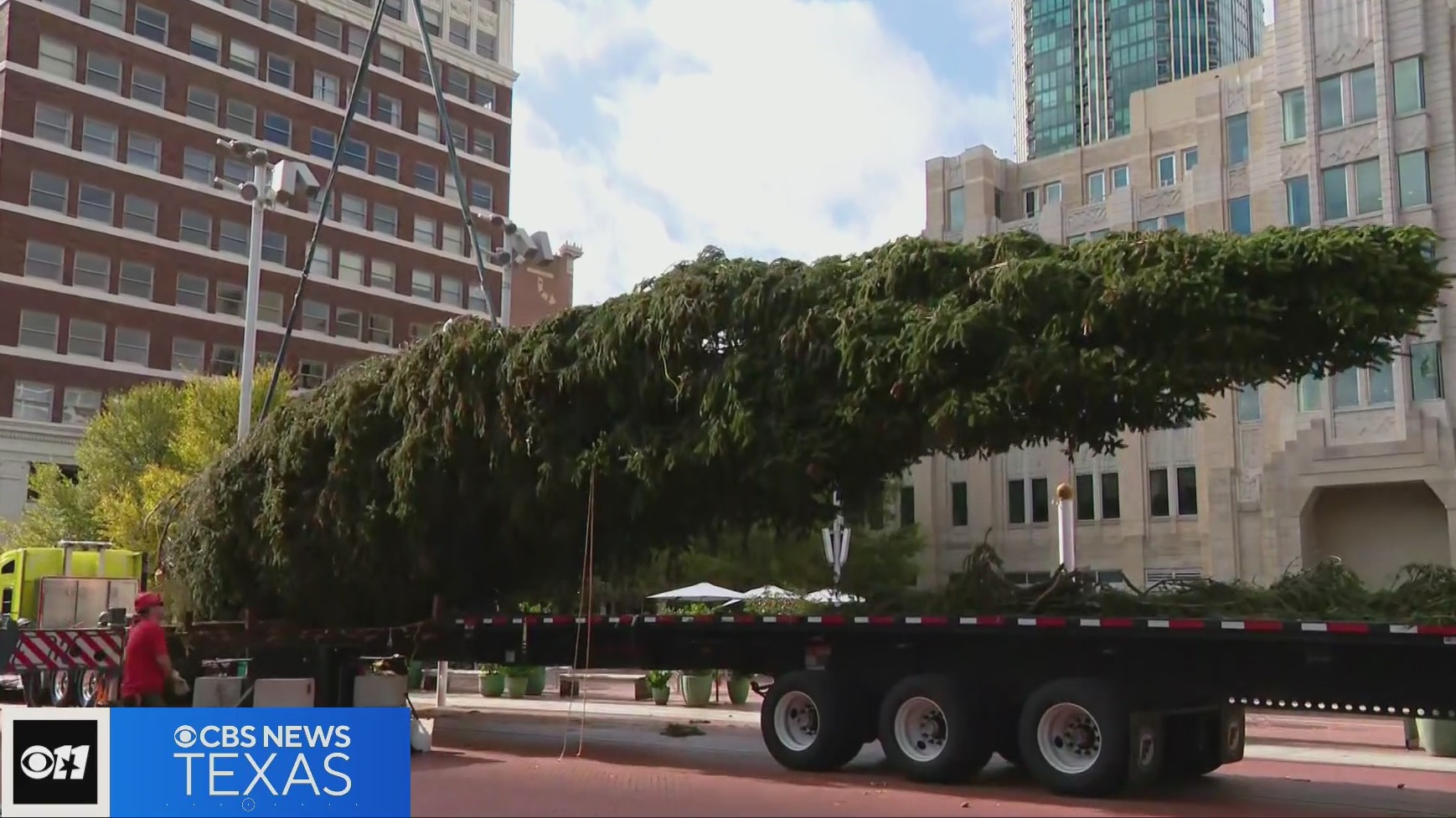 86-foot-tall Christmas tree arrives in Fort Worth's Sundance Square
