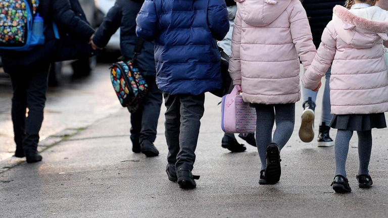 Just 2.2% of primary school pupils exempt from studying Irish last year