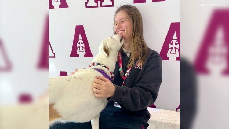 Therapy dog Penny inspires school fundraiser for The Arrow Fund