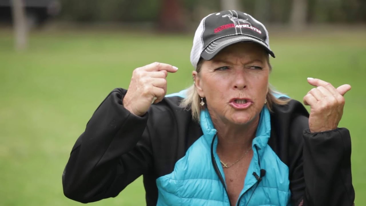 Dog sport legend Leri Hanson trains the odd couple: an American Bully ...