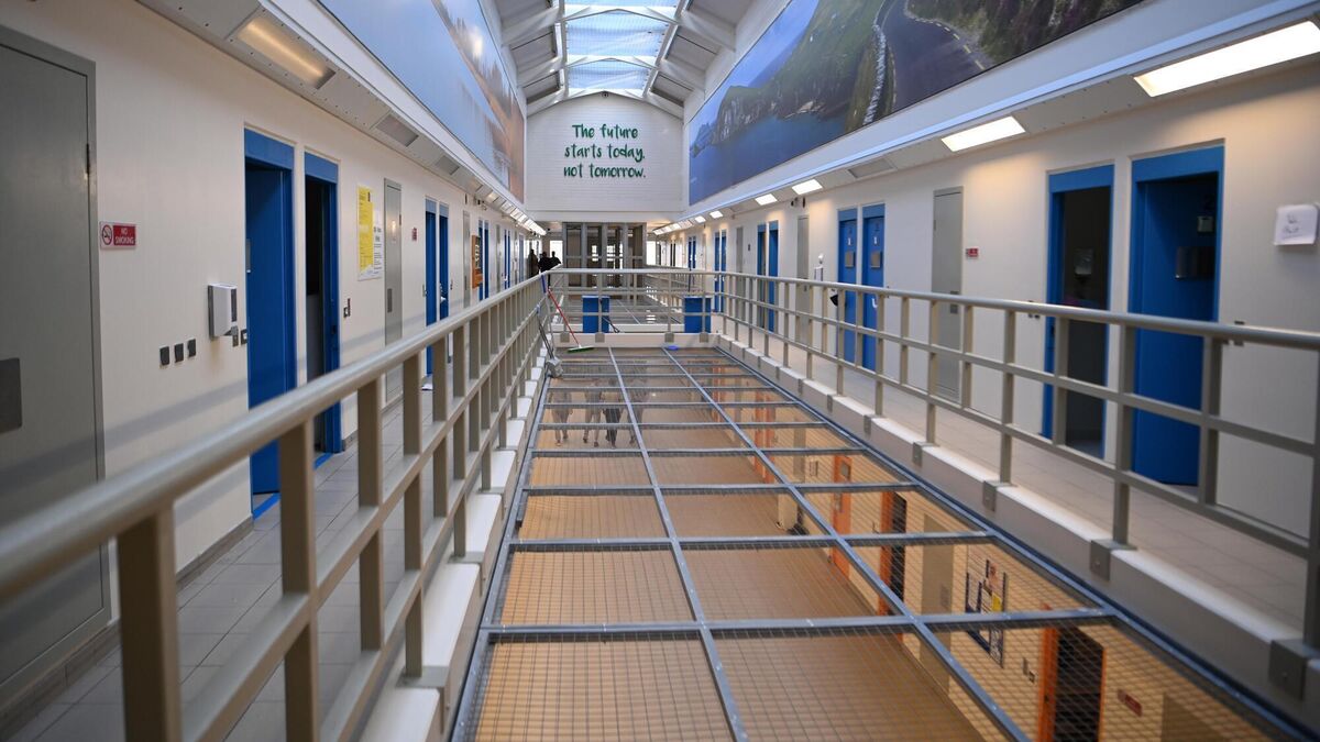 Man's ear bitten off in unprovoked Cork Prison attack