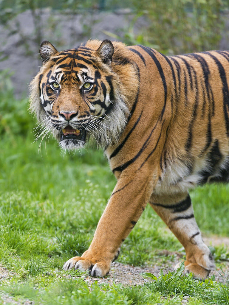 10 Best Places to Take Kids in Nebraska: Family-Friendly Destinations ...