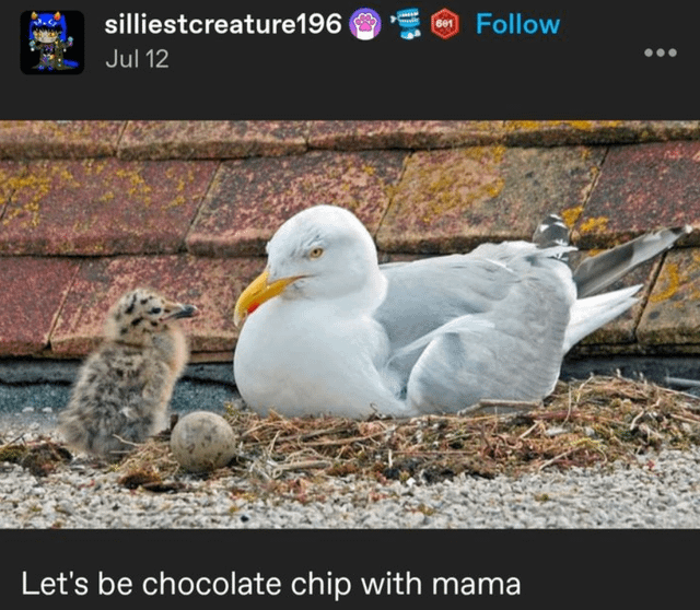 20+ Tumblr Posts to Enjoy While Dancing Through Life