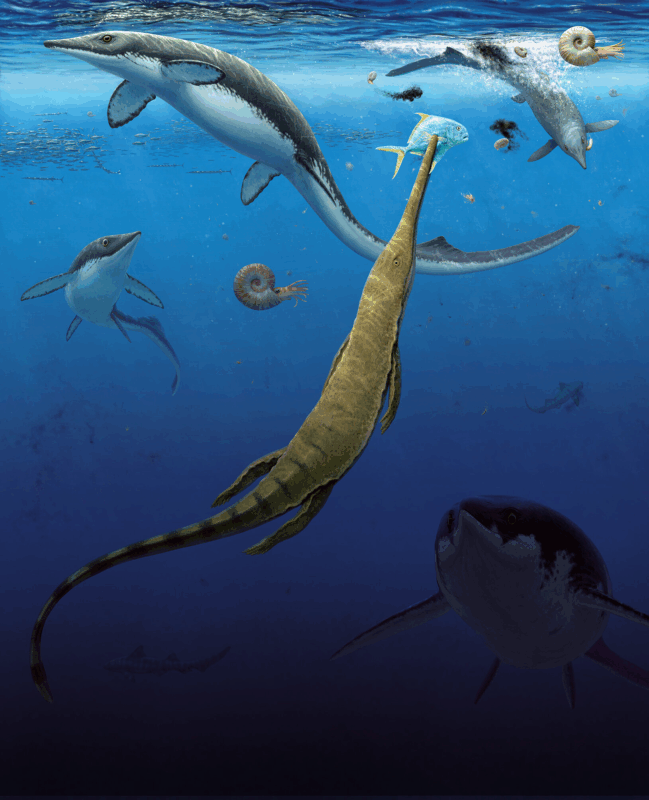 Discovery Of 249-Million-Year-Old Lost World In The Arctic Filled With ...