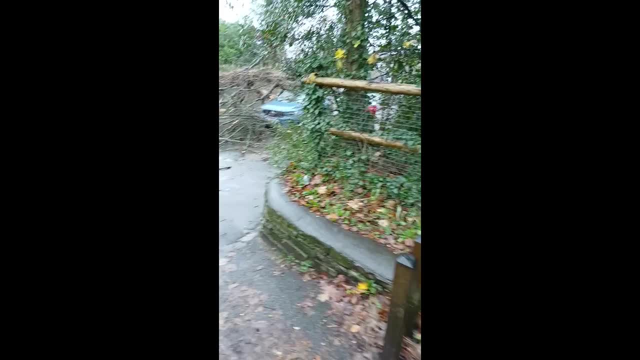 Storm Claudia's Fury: Trees Crush Cars & Block Roads in Macclesfield!