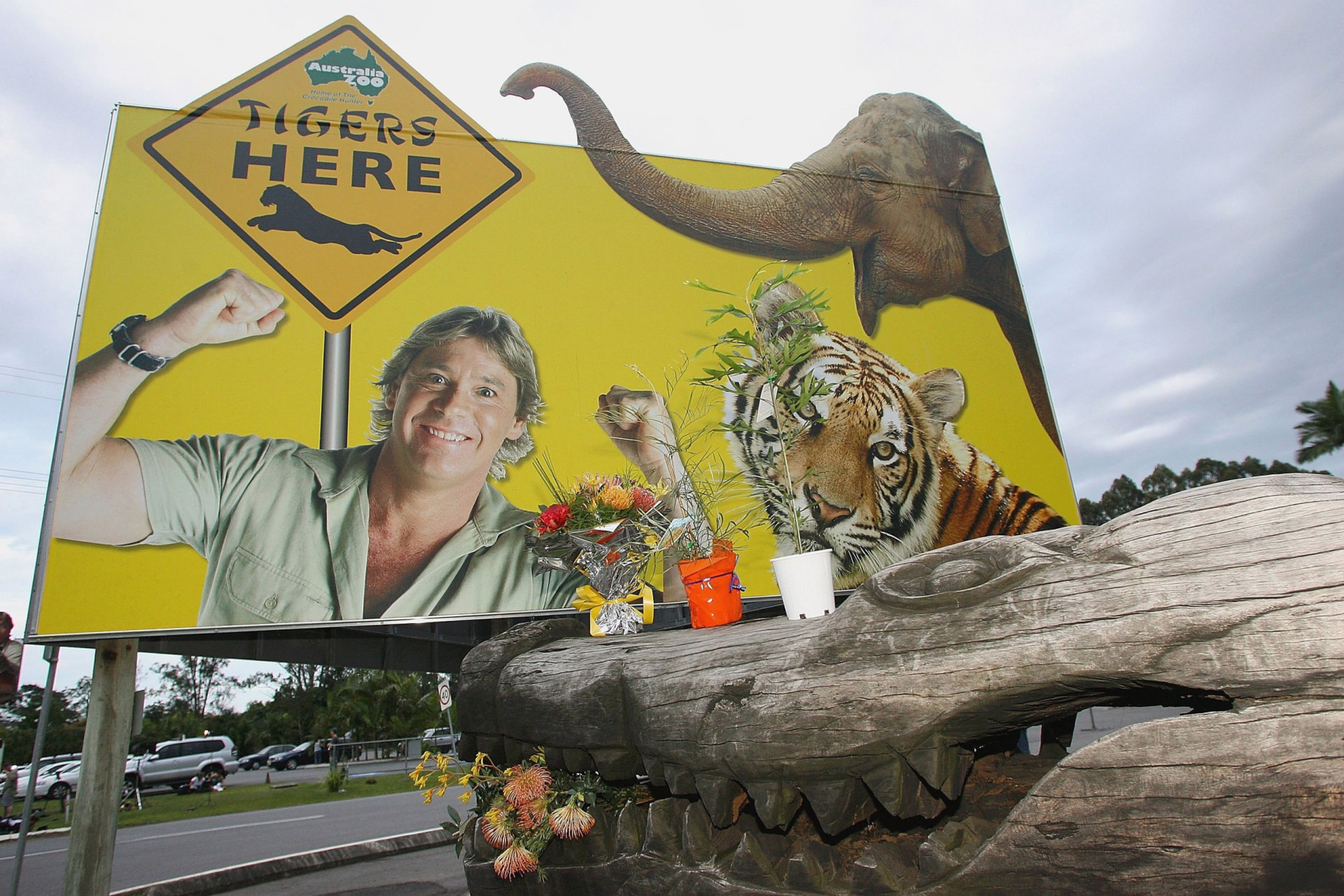 The legacy of Steve Irwin: from television star to conservation icon