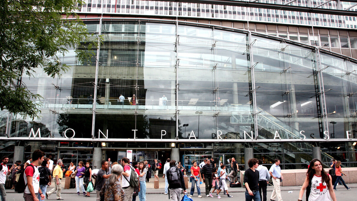 Armed police in Paris wound knife-wielding man at Montparnasse train ...