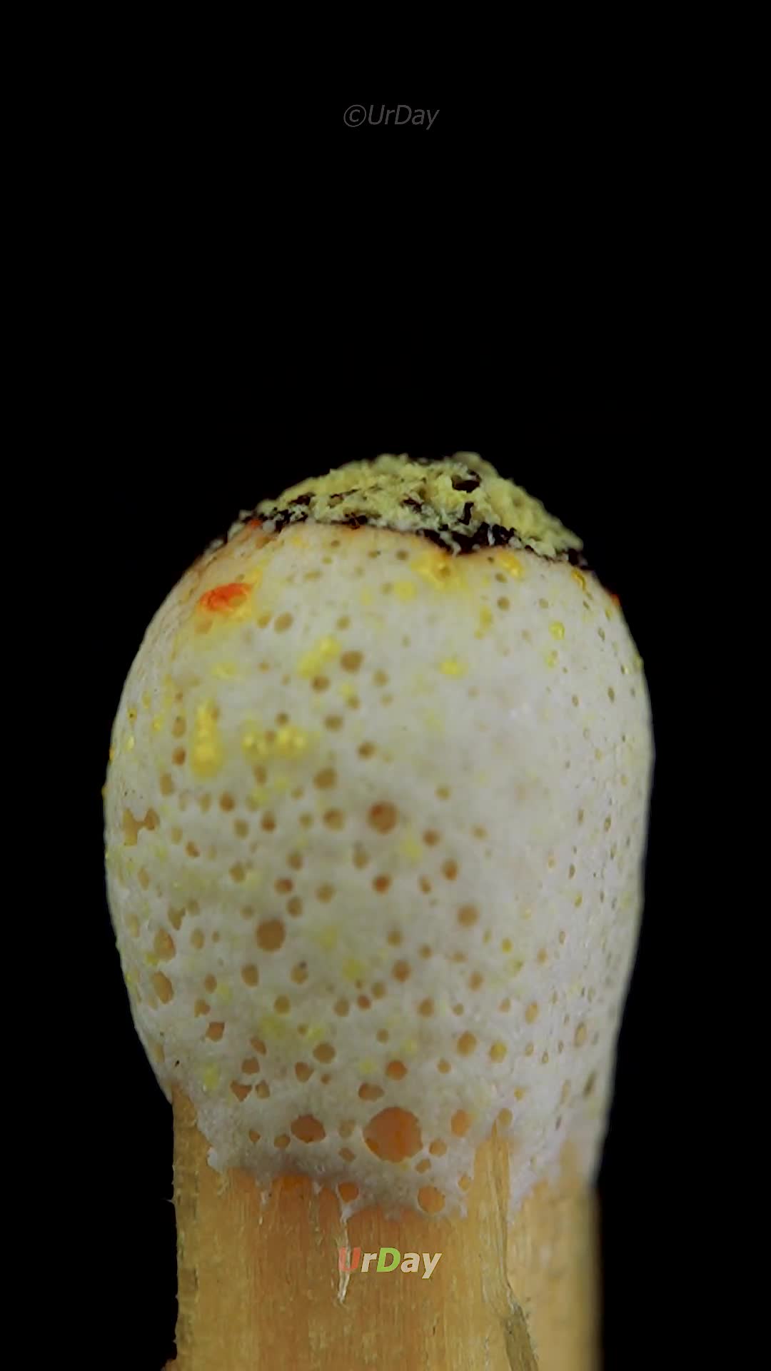 A match stick 360 slow motion up close #urday #satisfying #macro