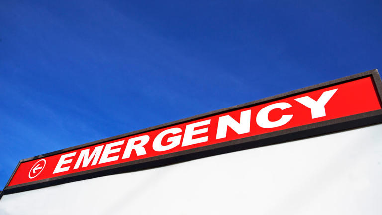 Hospital fire alarm puller shot dead in ER lobby after attacking NY ...
