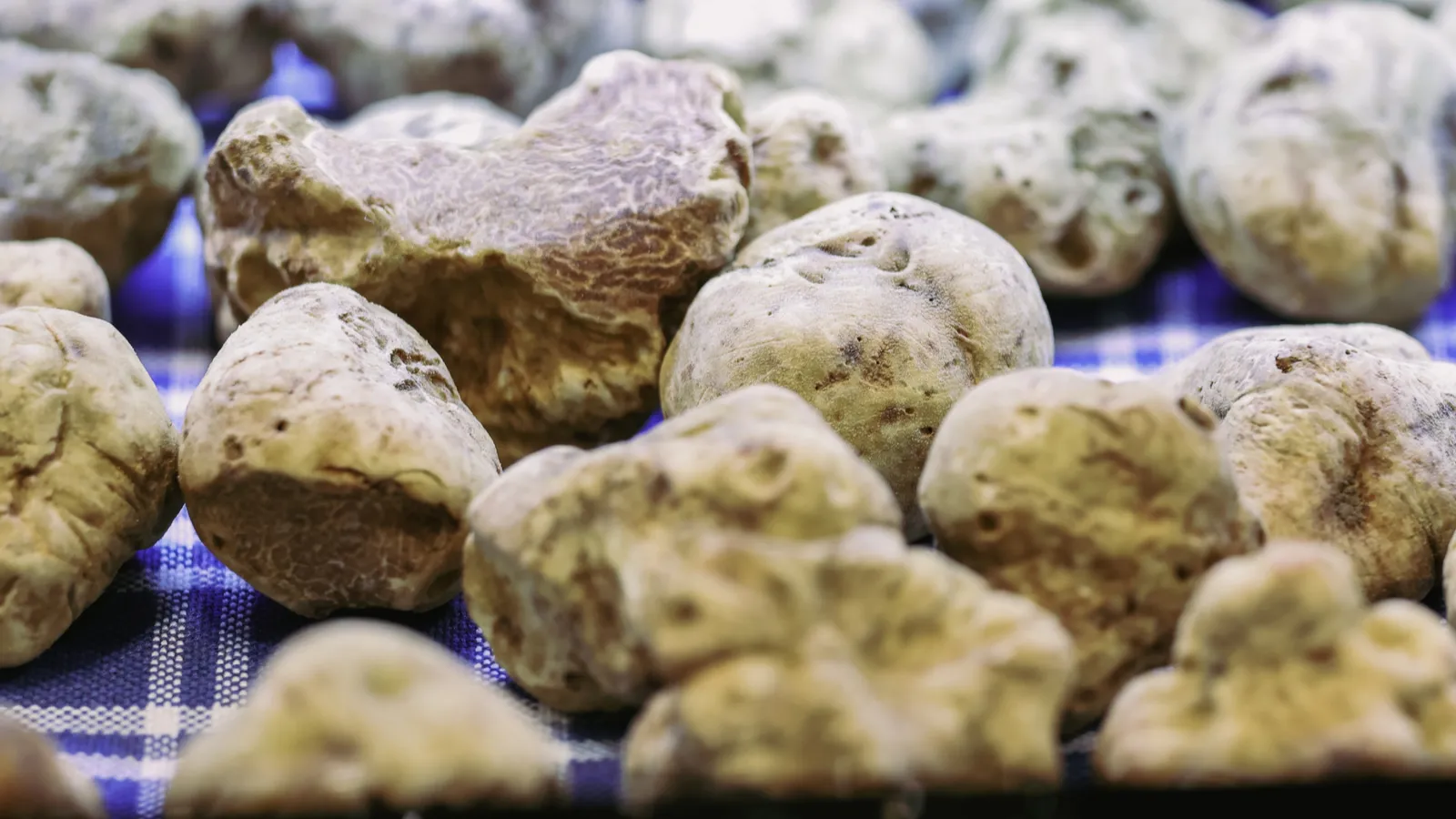 The world’s most valuable foods and why they’re worth it
