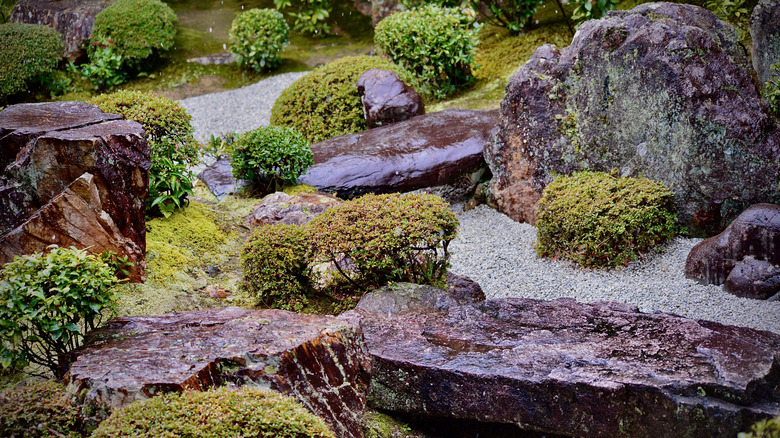 Clever Alternatives To Grass For A No-Mow Garden