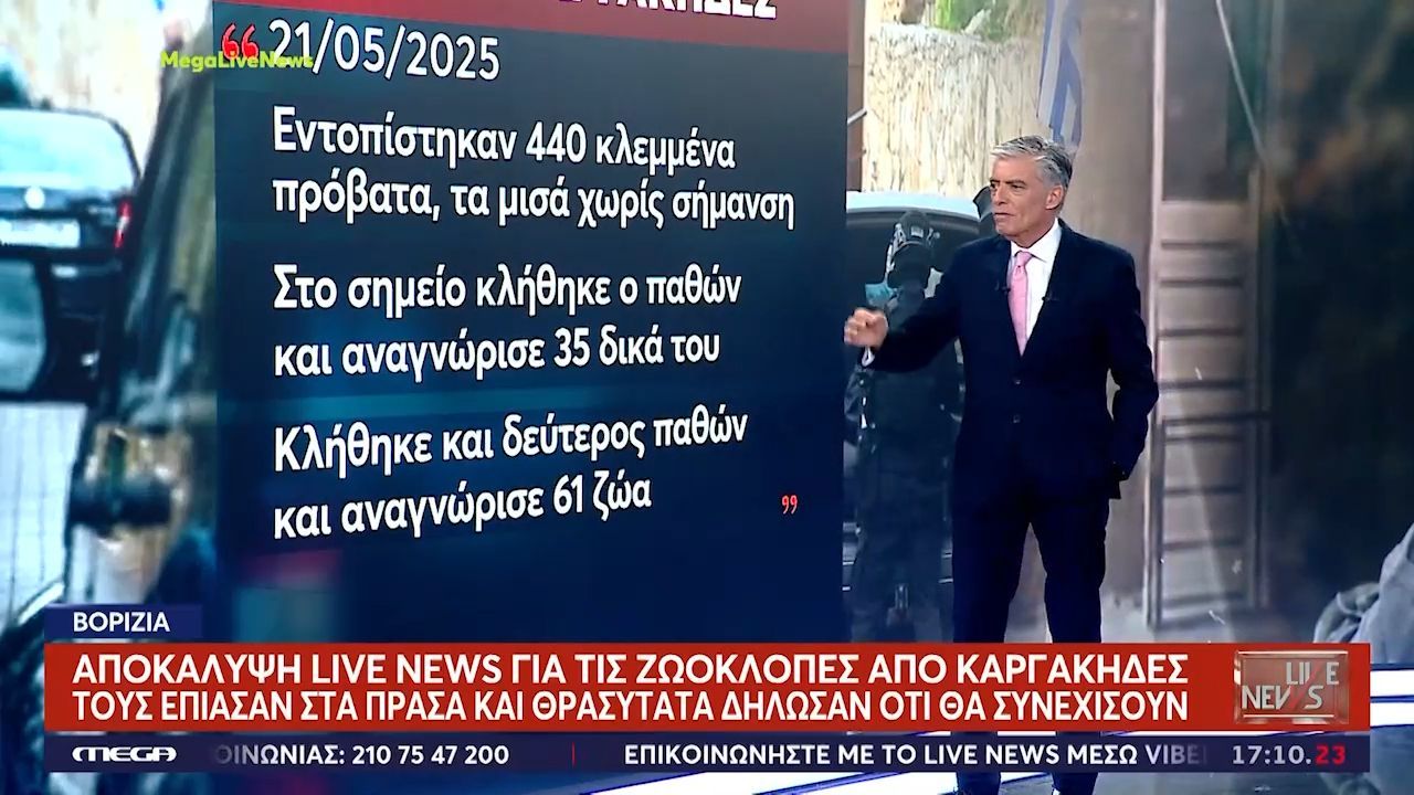 Αποκάλυψη Live News για τις ζωοκλοπές στα Βορίζια: Τους έπιασαν στα ...