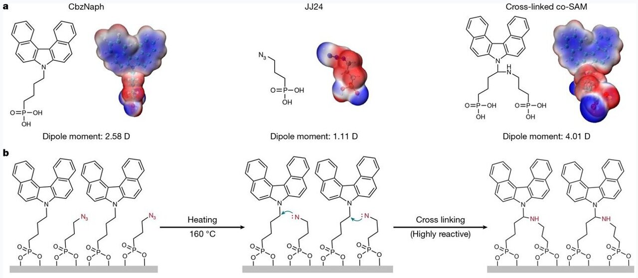 Universal in-situ cross-linking strategy enhances stability of inverted ...