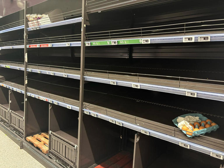 Pénurie d'œufs : pourquoi les rayons des supermarchés sont ...