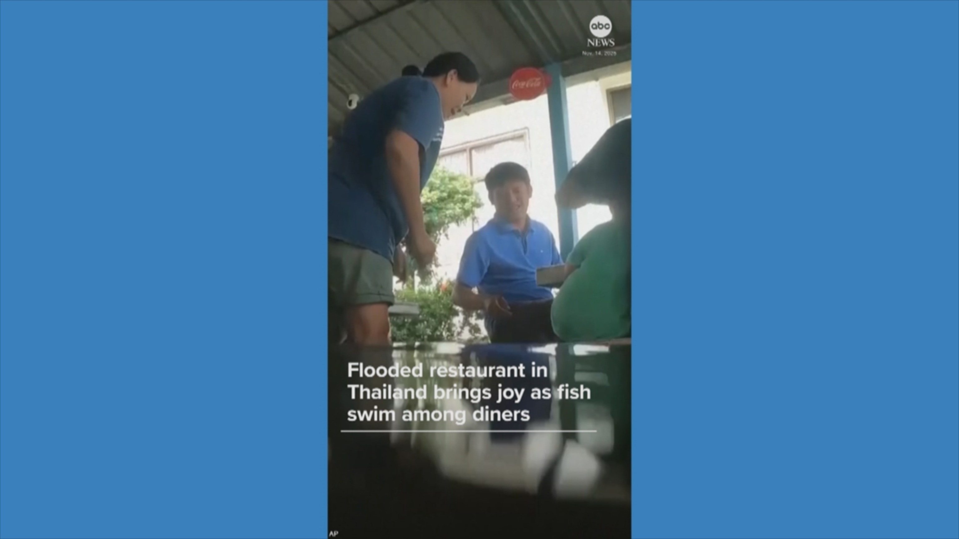 Fish swim among diners in flooded Thai restaurant