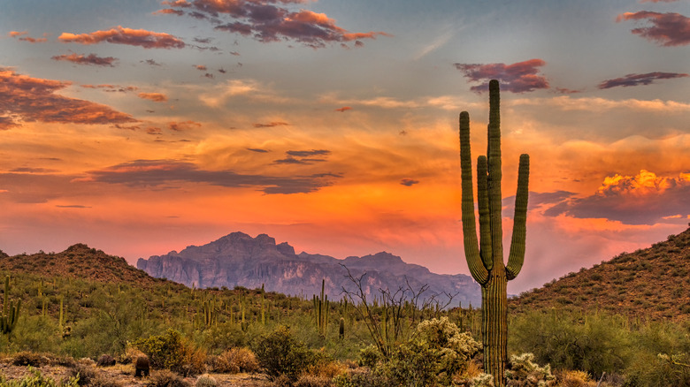 The Most Underrated State Parks In All Of Arizona, According To Visitors