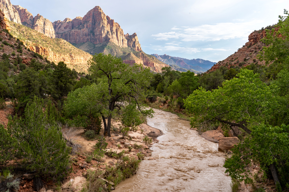 Things That are Banned in U.S. National Parks