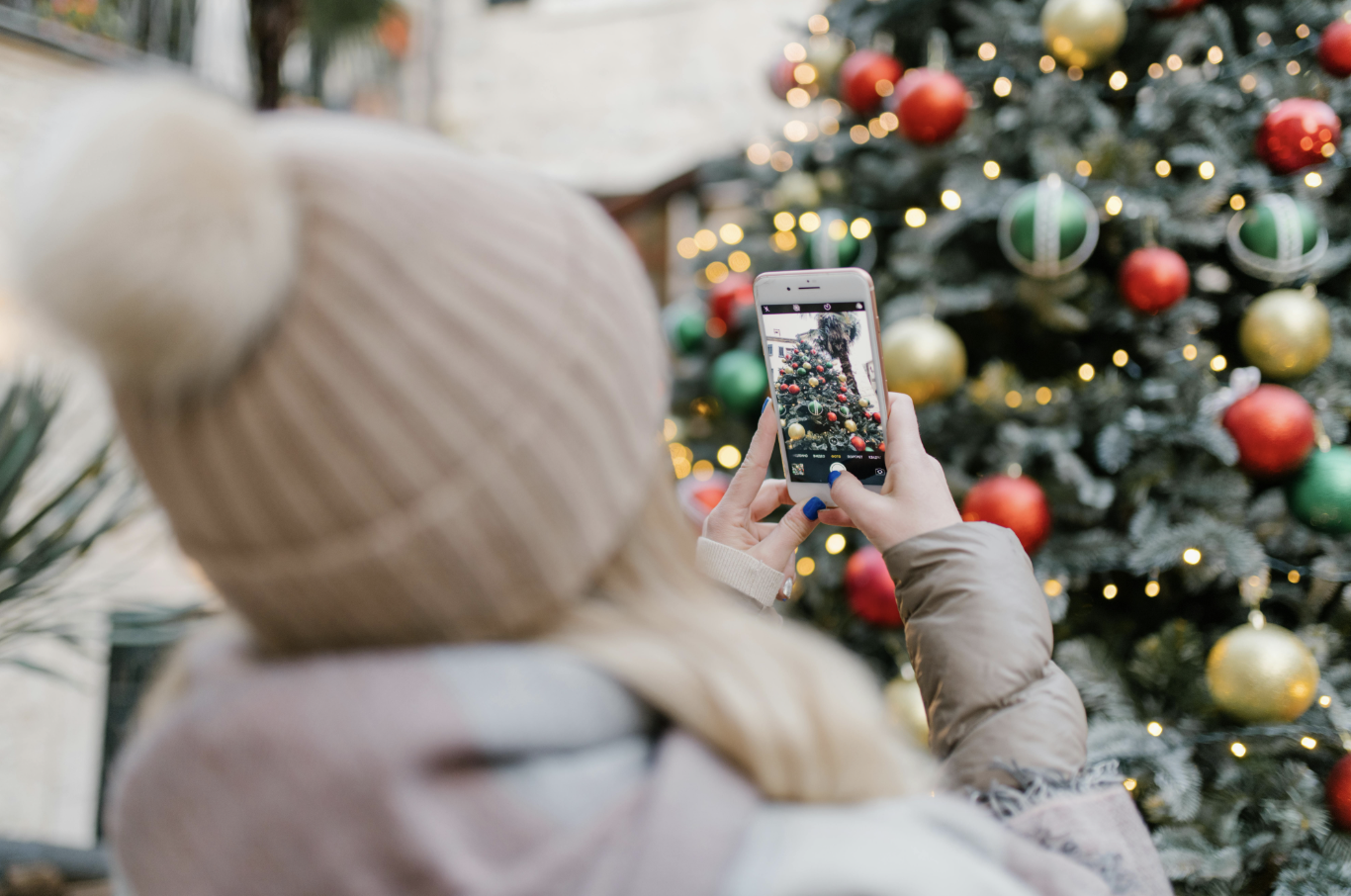 Your 2025 Guide to Boston's Holiday Tree Lightings