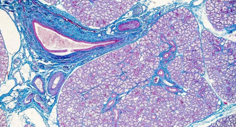 Why Is Aspire Biopharma Stock (ASBP) Up Today?