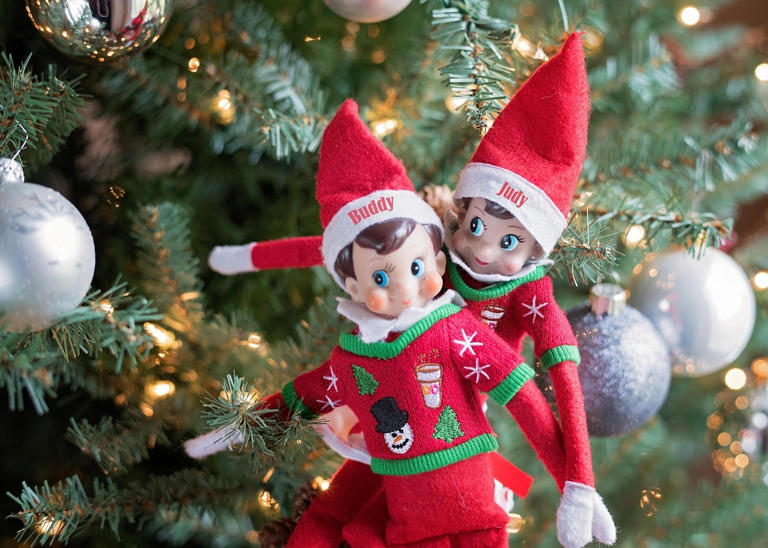 The most adorable (and random) Elf on the Shelf name ideas for your ...